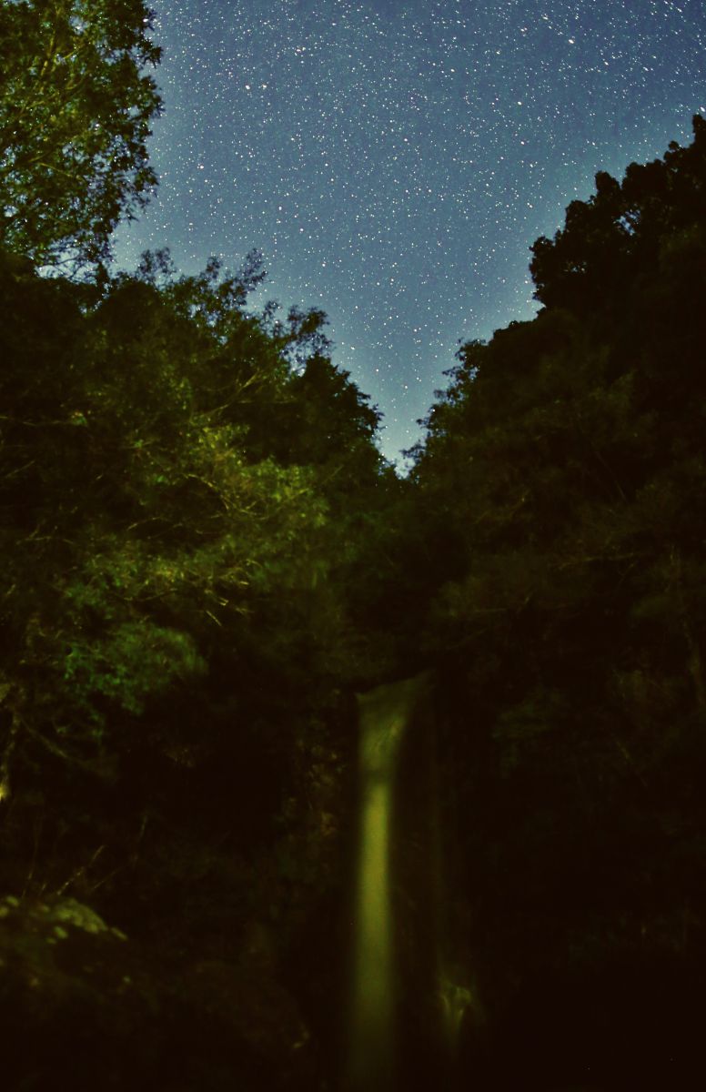 Starry falls | GANREF