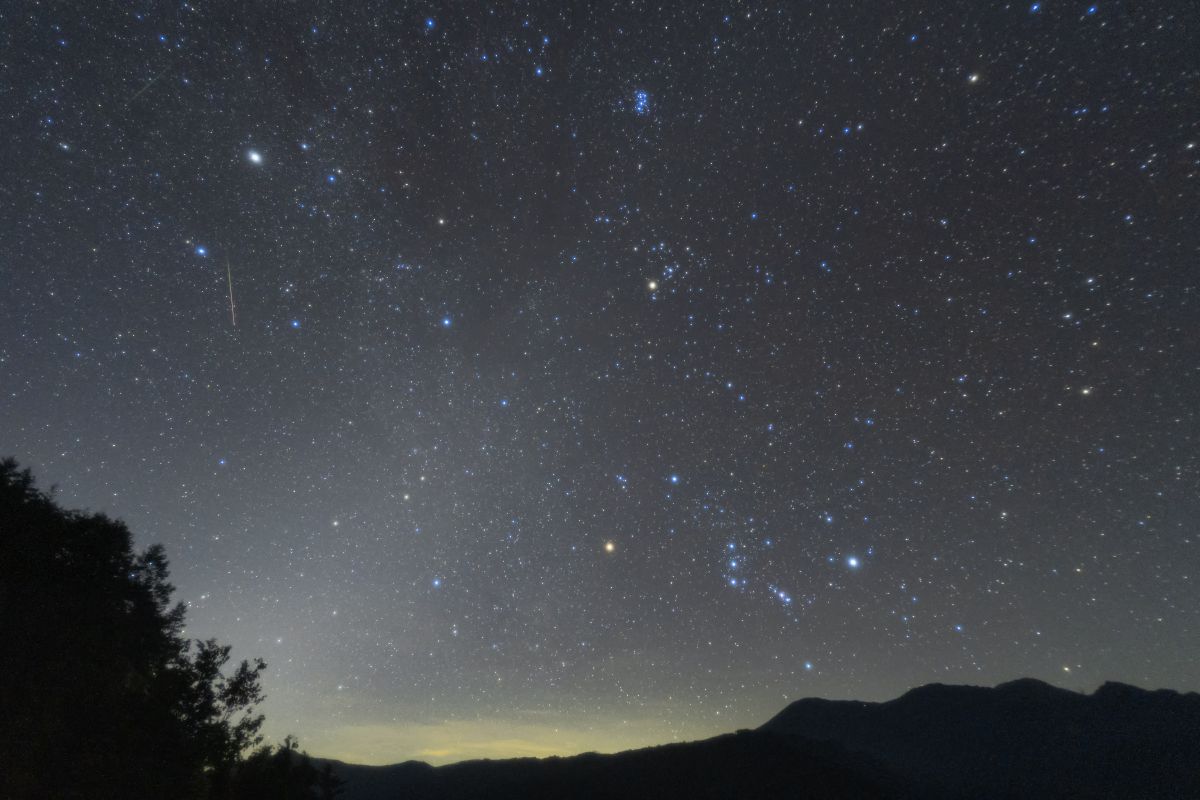 Starry Night Fever | GANREF