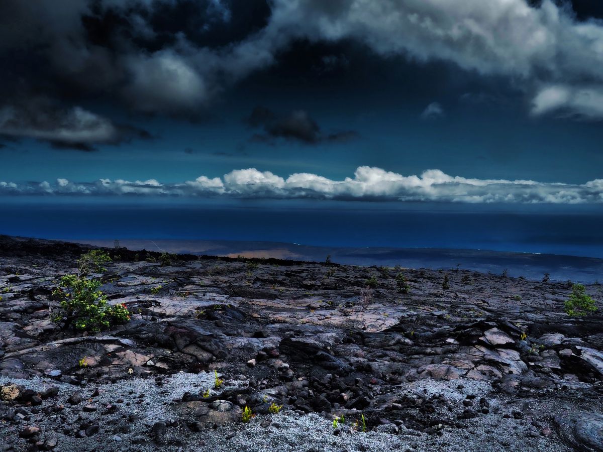 Black & Blue | GANREF