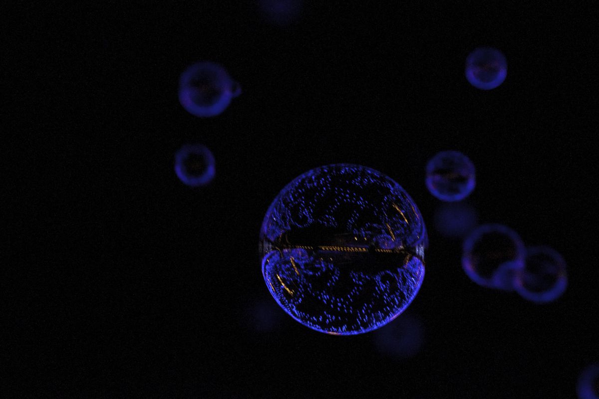 a microcosm | GANREF