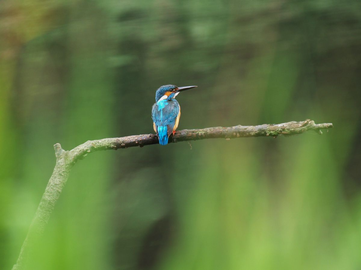 ちょっと、休憩 | GANREF