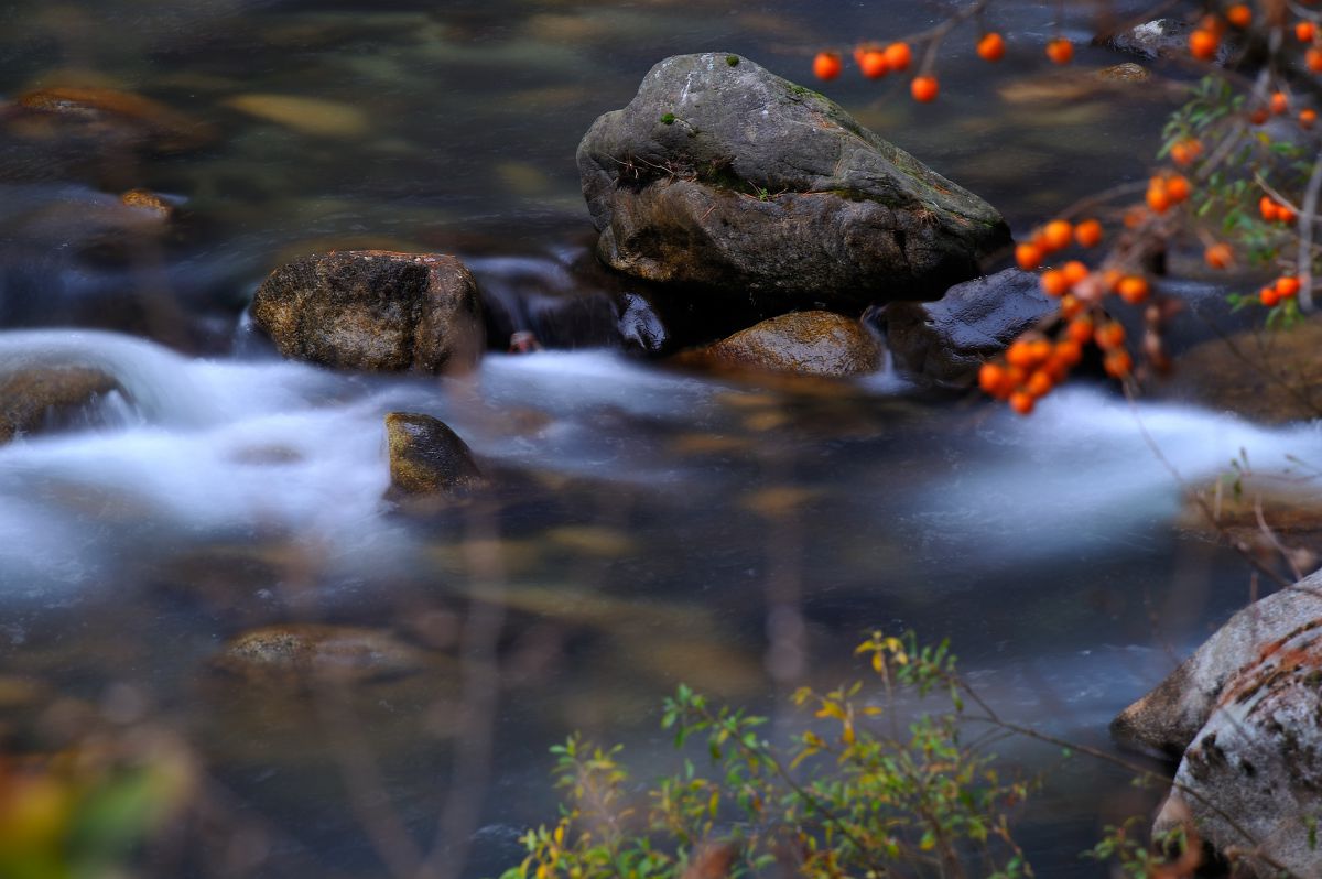 November flow | GANREF