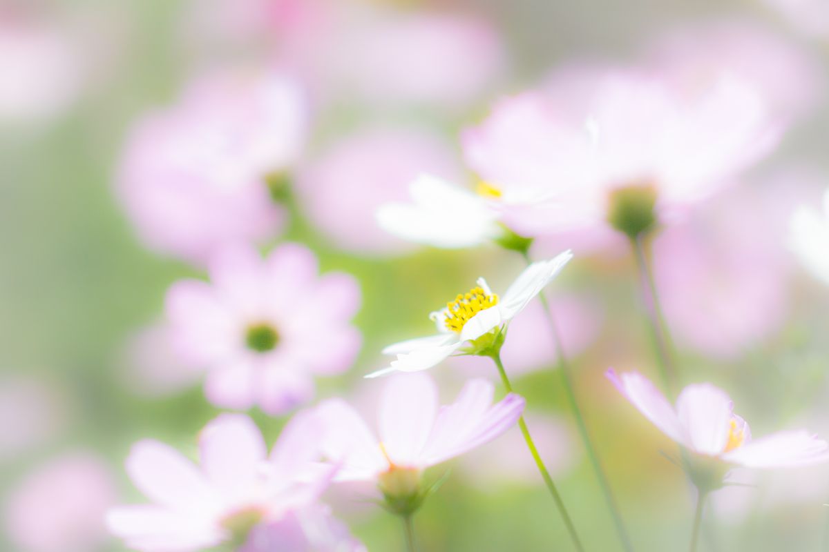 待ち遠しい | GANREF