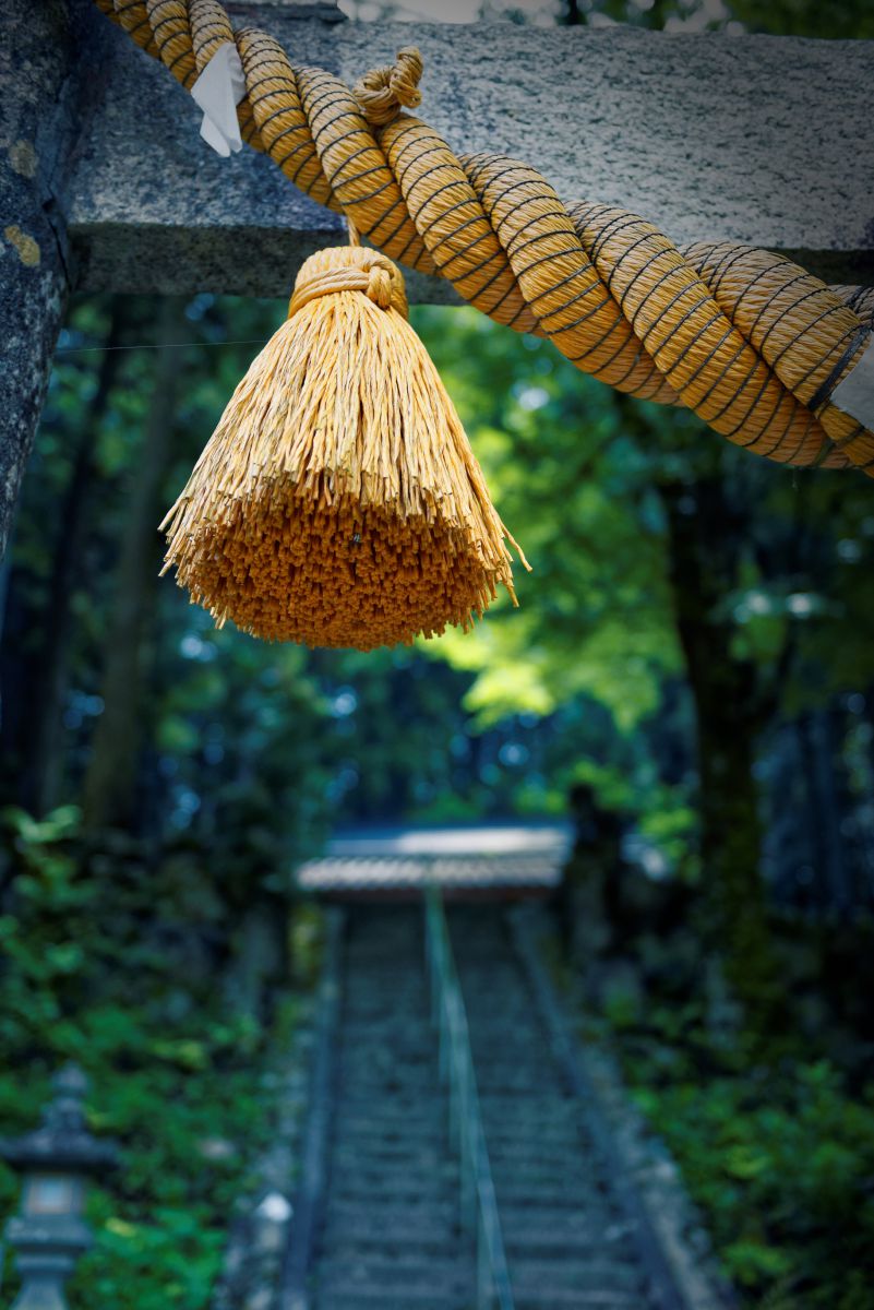 鳥居の内の世界 | GANREF