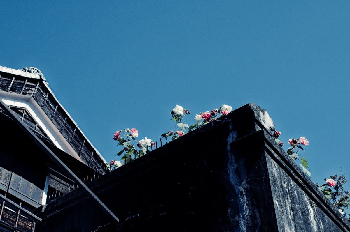 垣間見る | GANREF