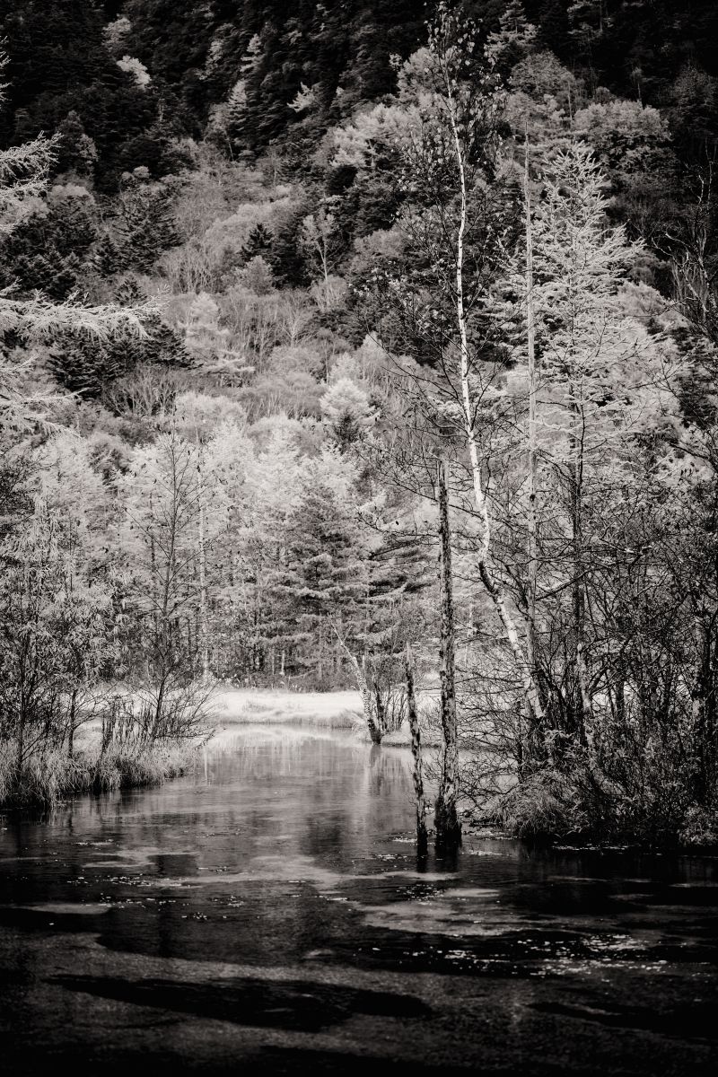 幽玄なり！田代池 | GANREF