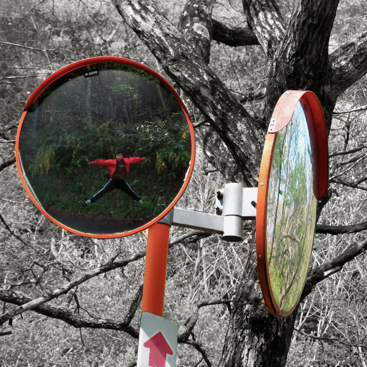 self portrait2 | GANREF