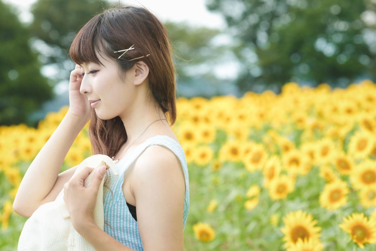 My Sunflower | GANREF