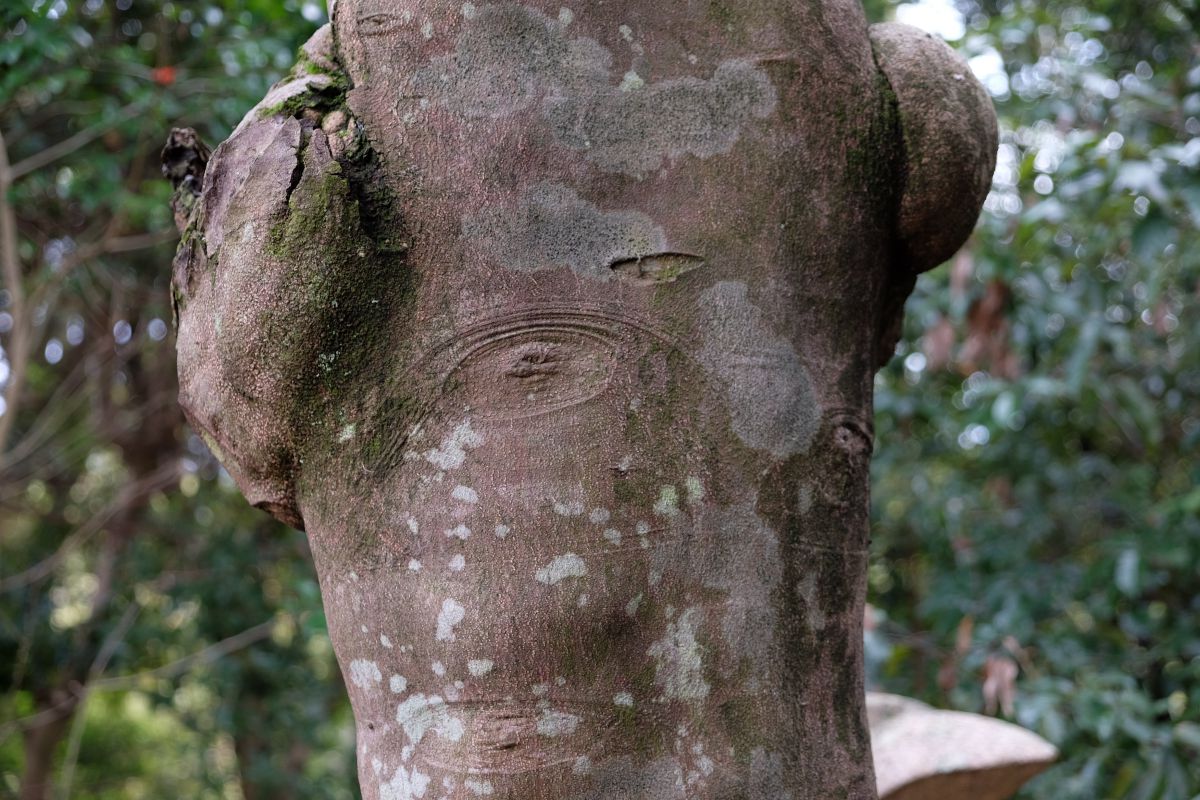 キュビズム なんて | GANREF