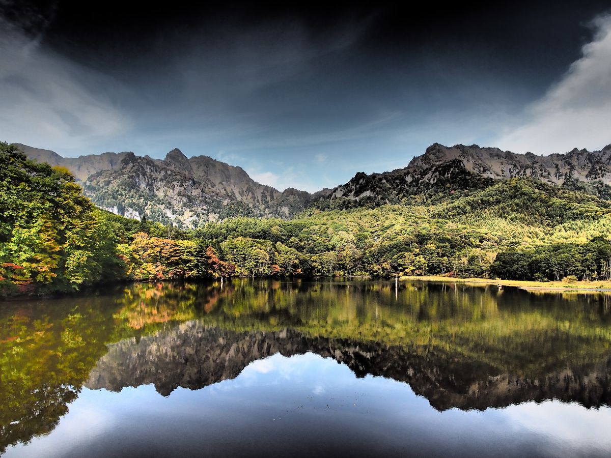 Mirror image | GANREF