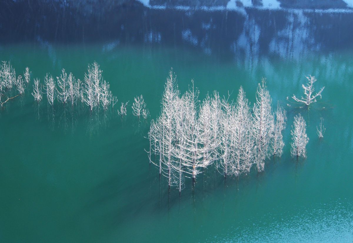 White Symphony 」 | GANREF