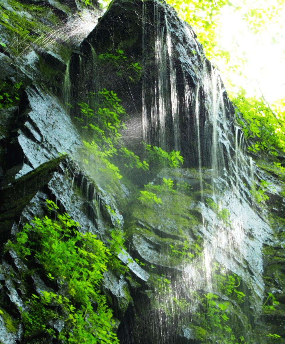 It's Show Time … !? | GANREF