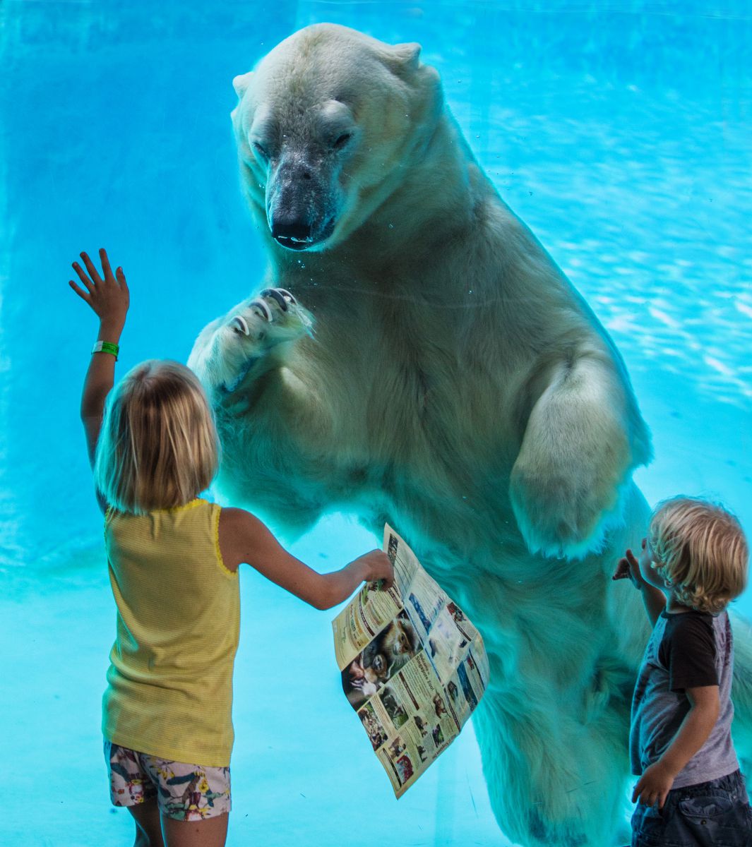 Close Encounter | GANREF