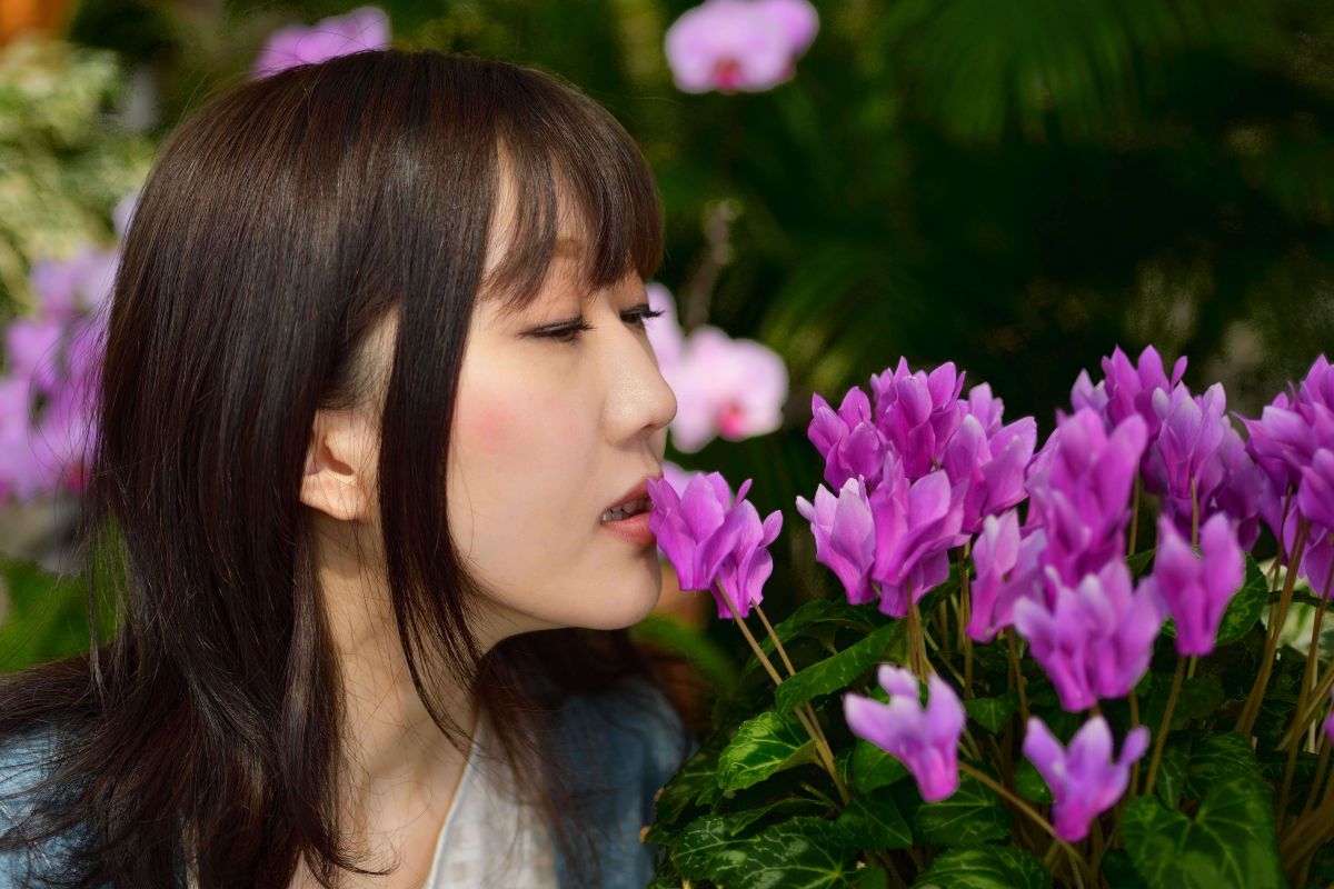 くちづけ | GANREF