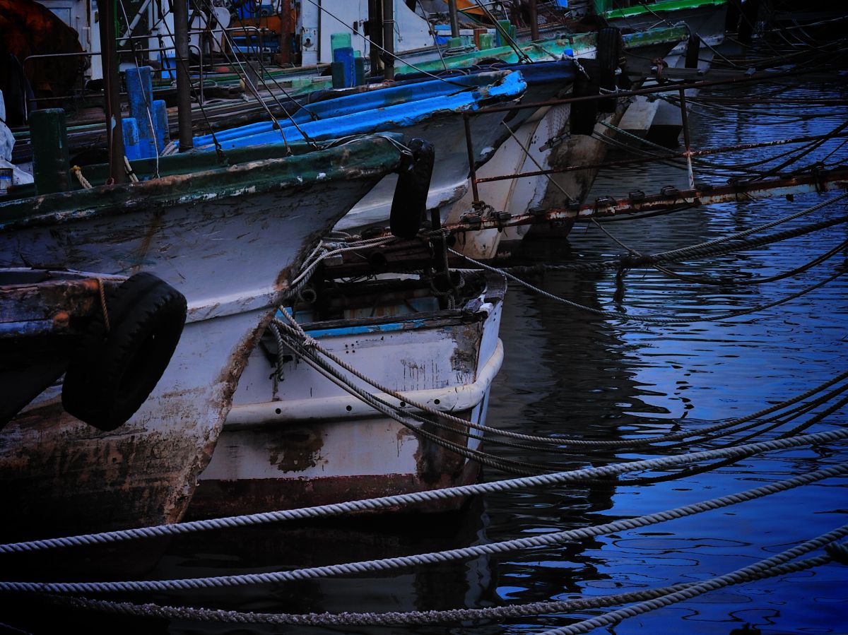 fishing boat | GANREF