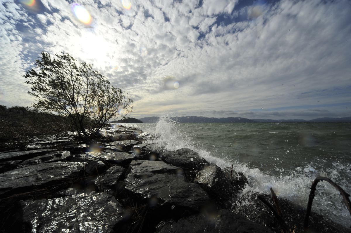 Strong wind No.2 | GANREF