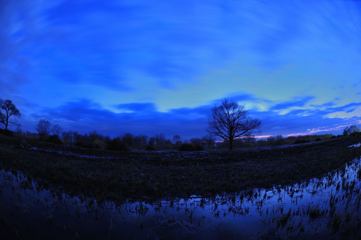 Before dawn | GANREF