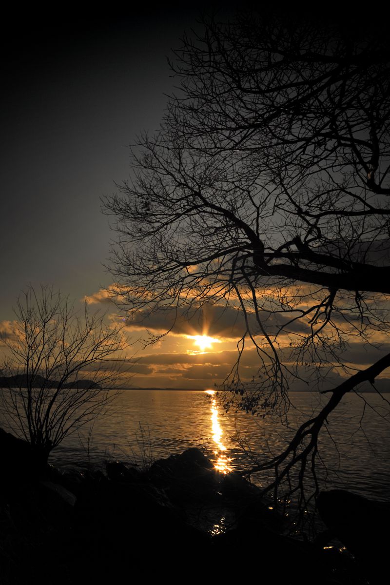 Way of light | GANREF