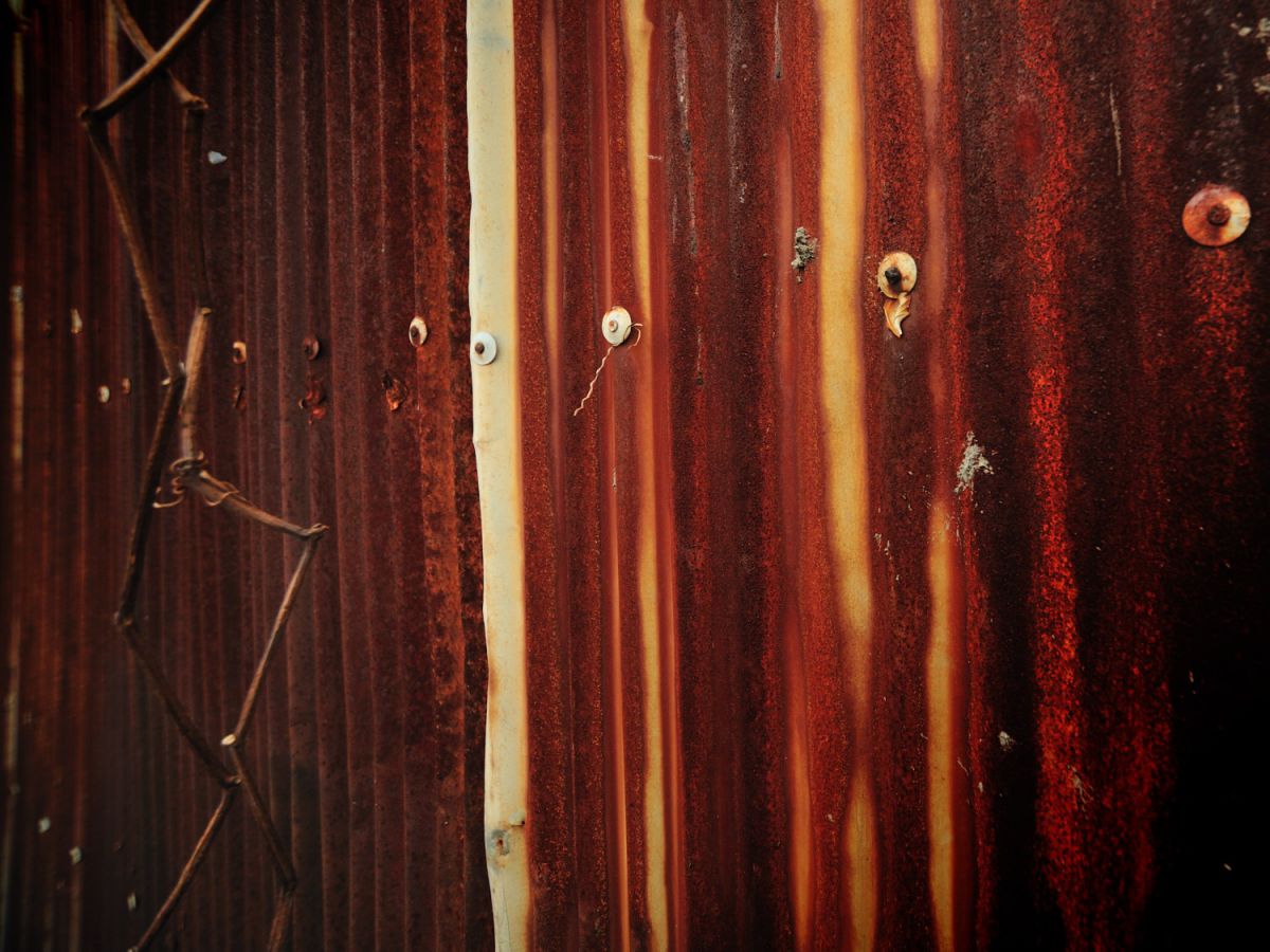 reddish brown | GANREF