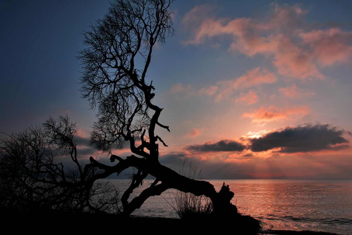 After a storm | GANREF