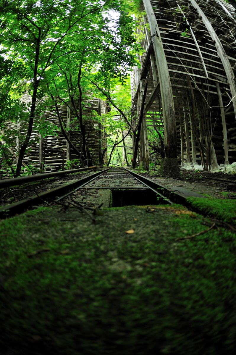 trolley orbit | GANREF