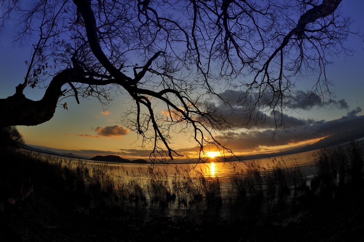 Ripples dye | GANREF