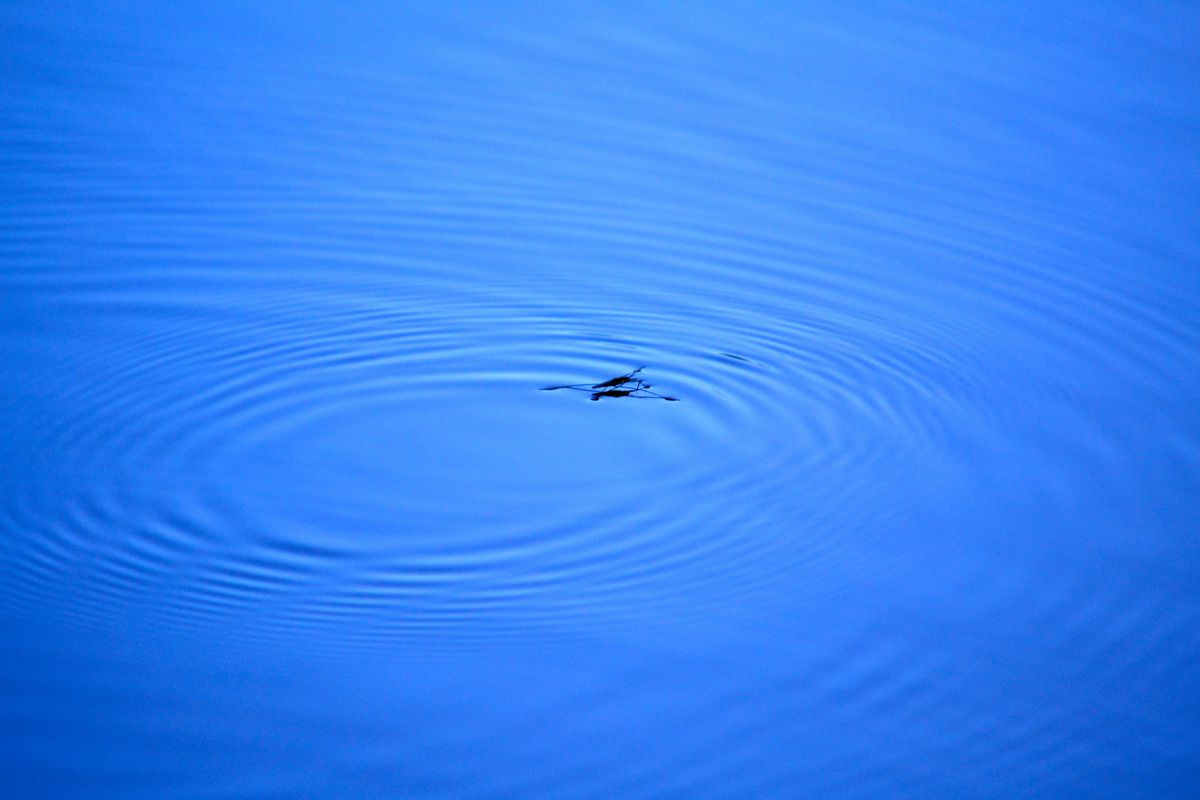 〜harmony〜 | GANREF