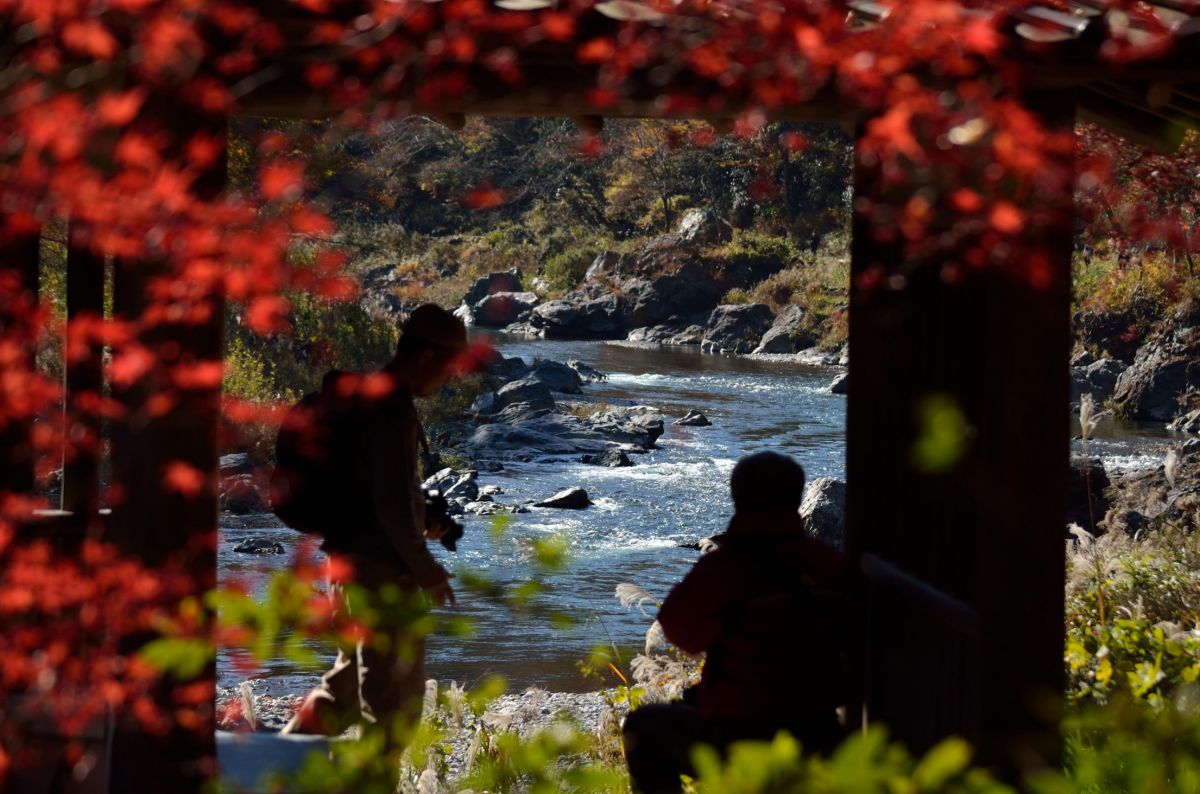 川べりの遊歩道から | GANREF