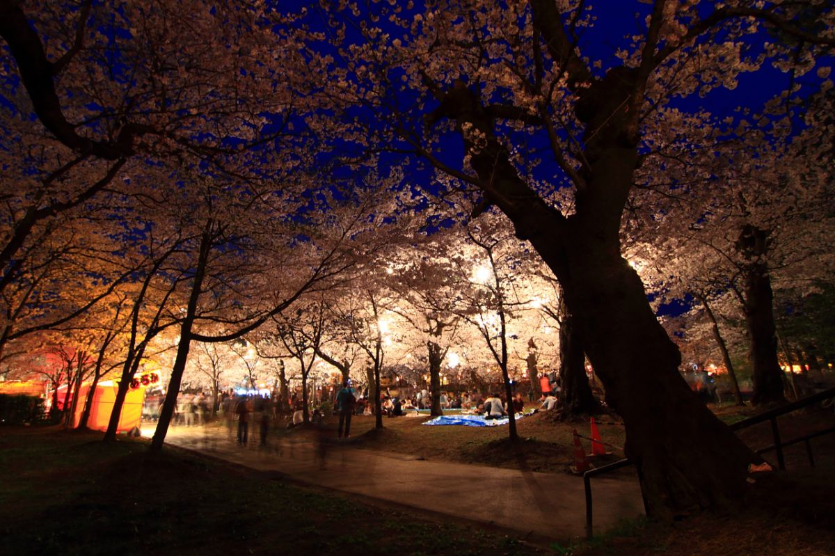 場末から | GANREF