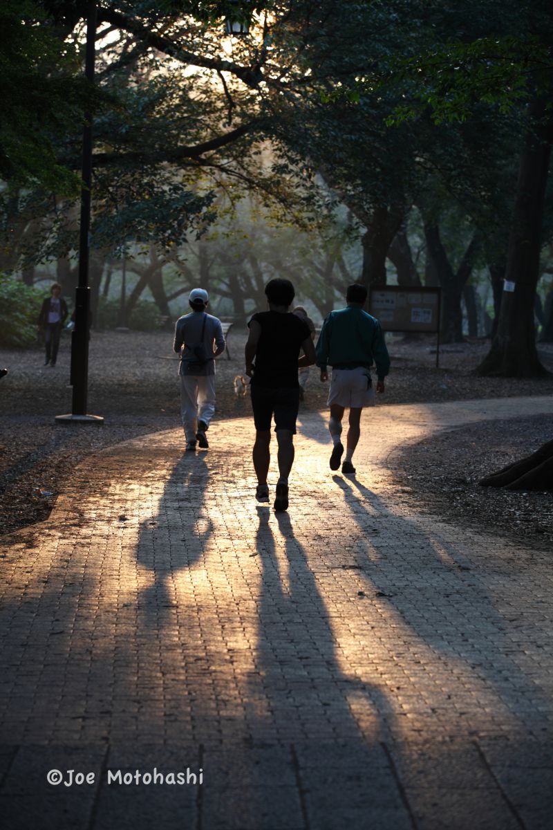 朝日に向かって | GANREF