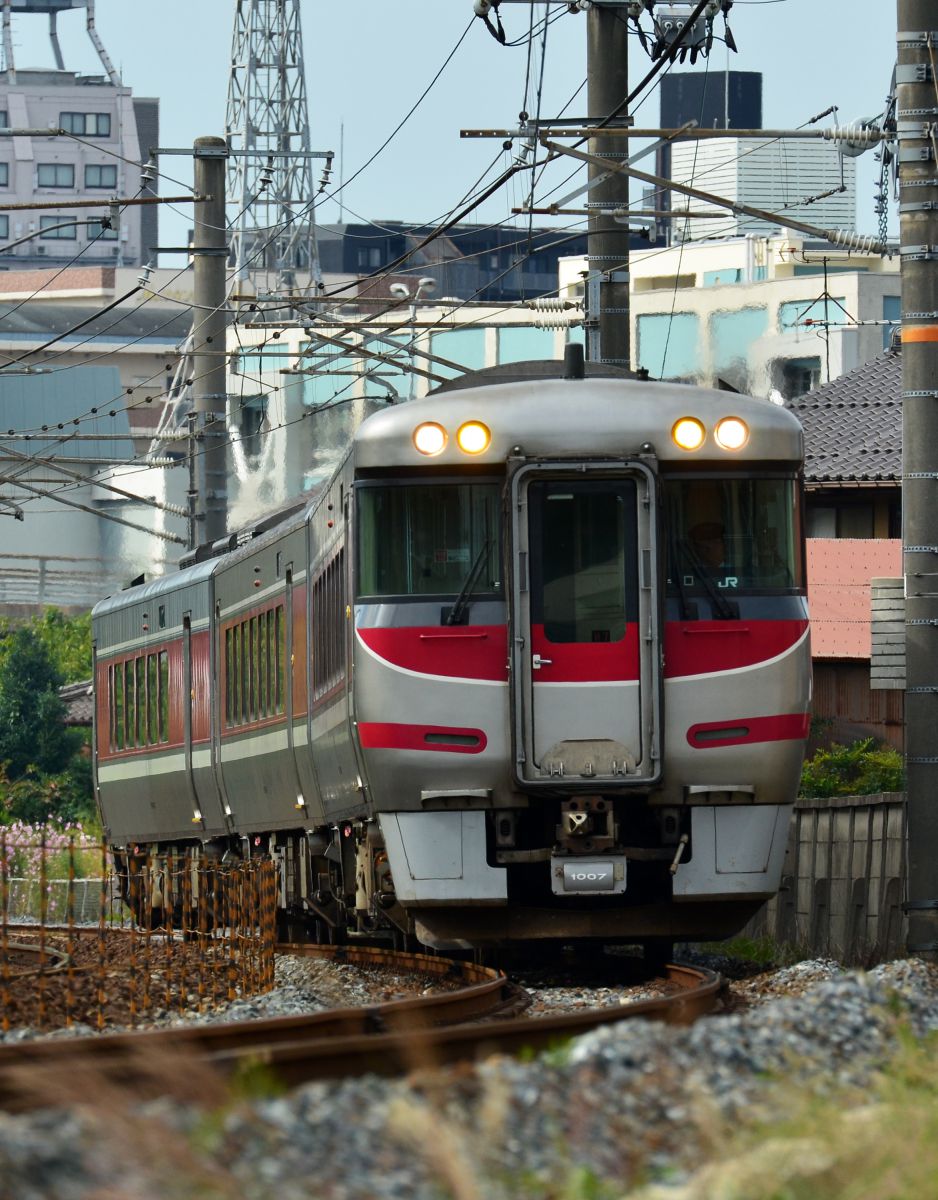 珍客・189系 | GANREF