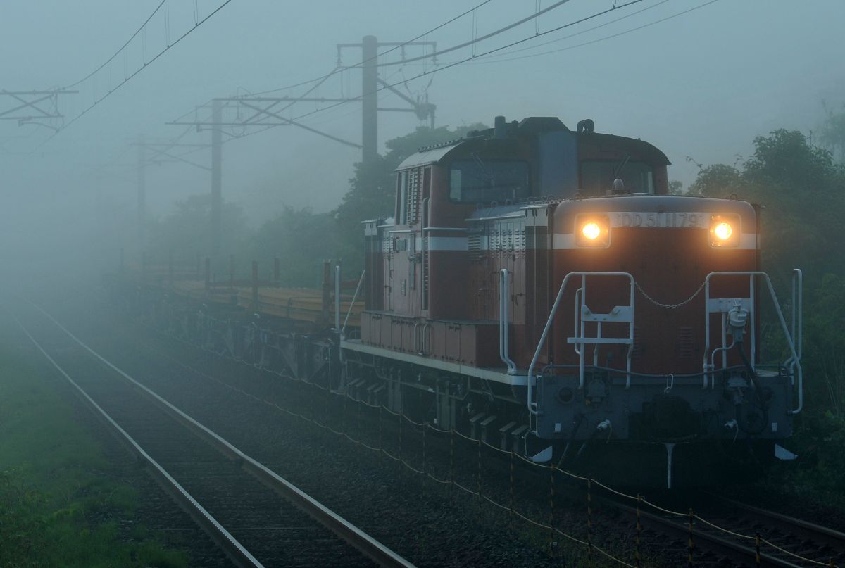 白闇のDD | GANREF