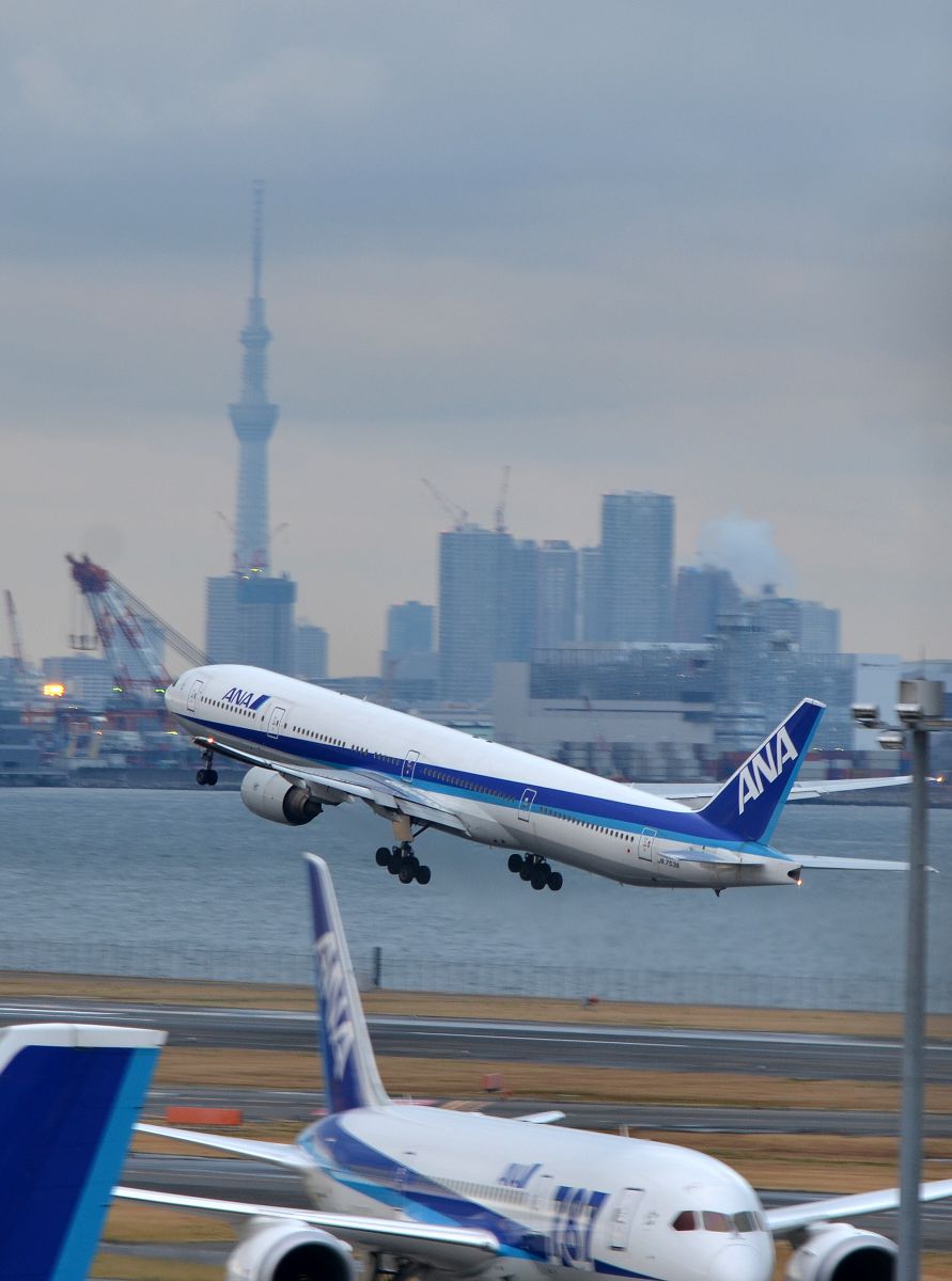 空へ駆ける鷲777 地を這う魚787 | GANREF