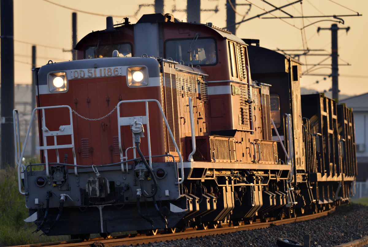 朝日のDD | GANREF