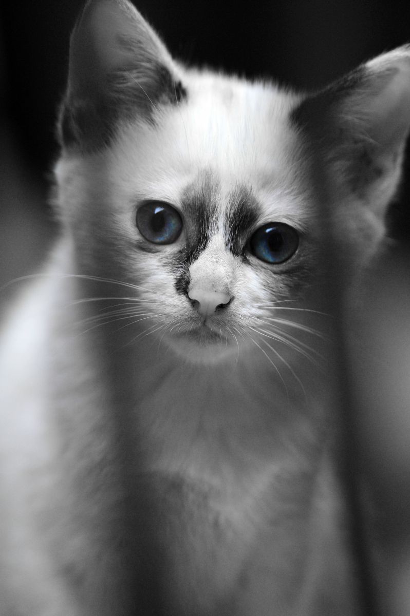 take me out | GANREF