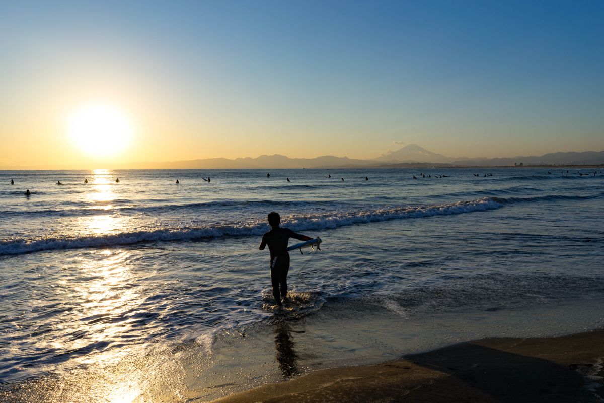 Untitled190203 | GANREF