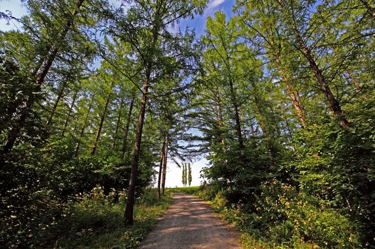 赤羽の丘 Ver.HDR | GANREF