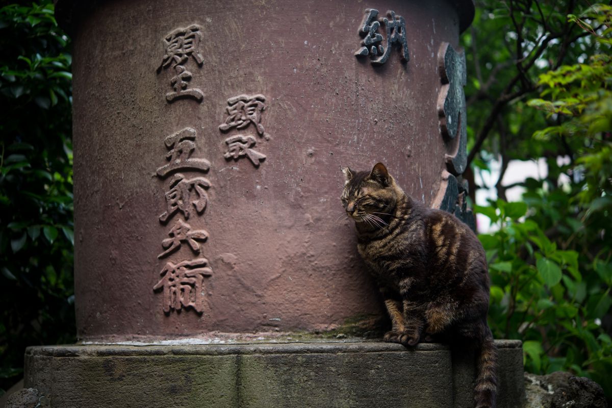 寄り添って | GANREF