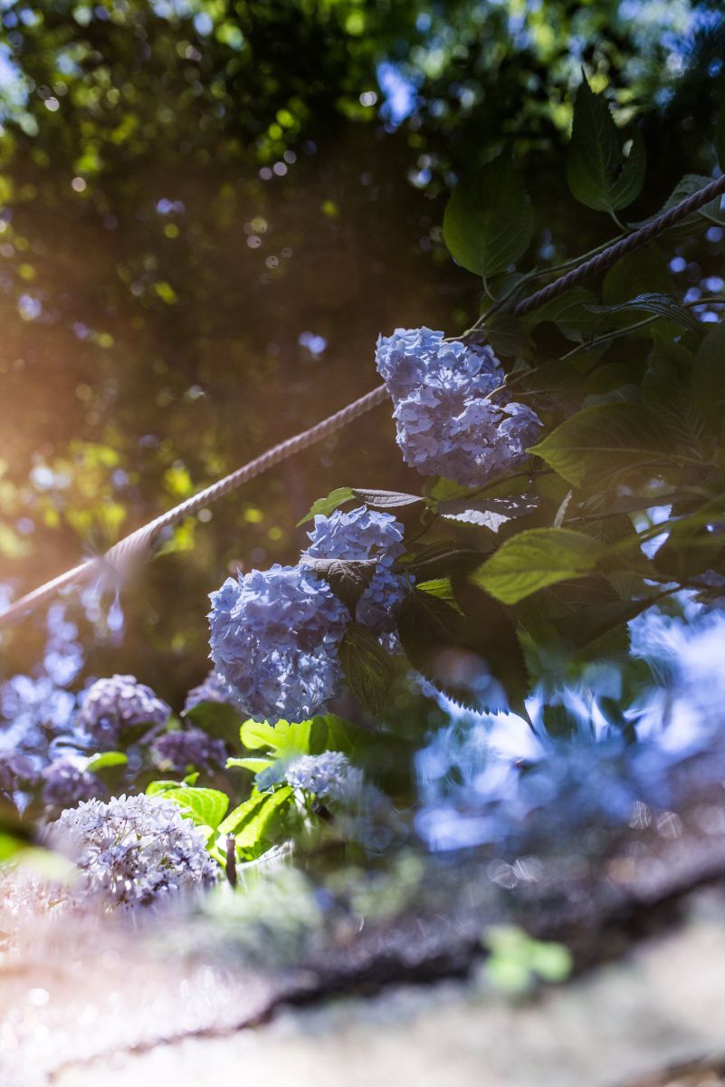 少し不思議な世界 | GANREF