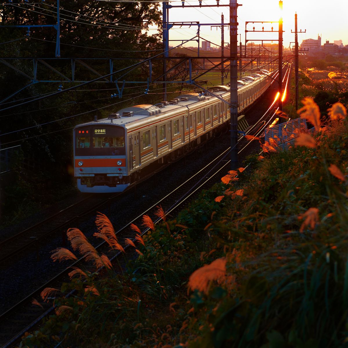 夕日に見送られて | GANREF