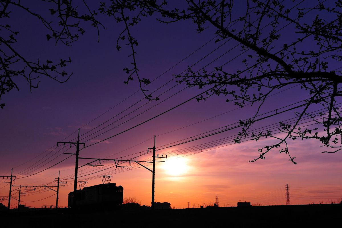 3月の終わりの1枚 | GANREF