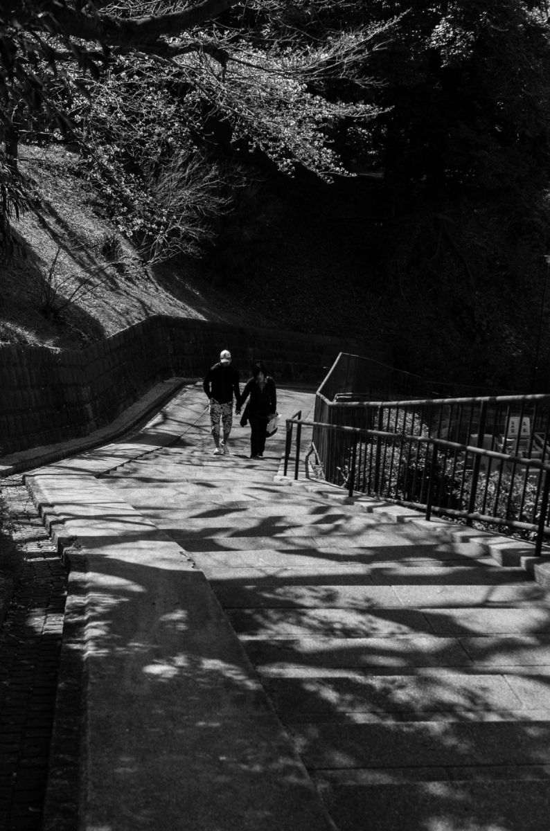 Yamate Bluff-坂- | GANREF