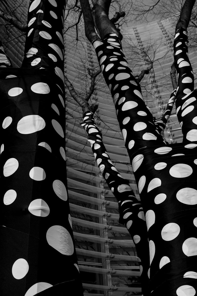 Polka dots#4 | GANREF