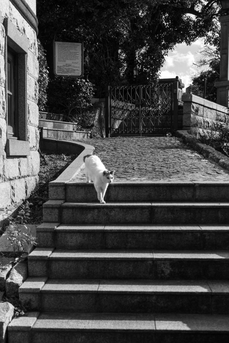 Live in the Cemetery#13 | GANREF