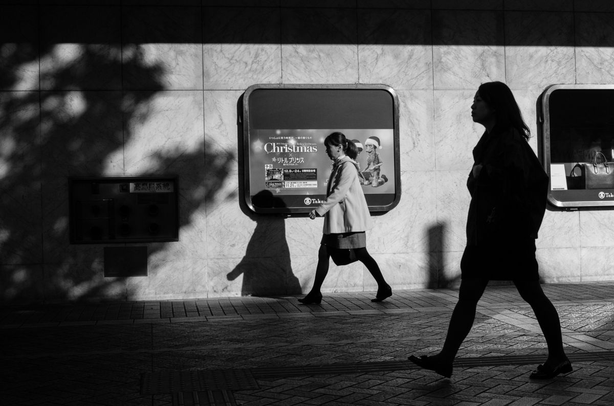 light and shadow | GANREF