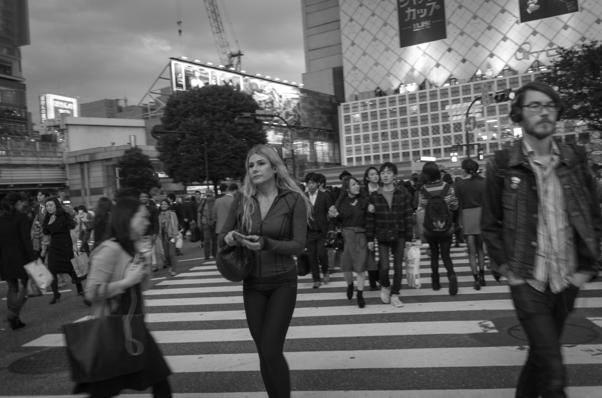 Night&Day#7 | GANREF