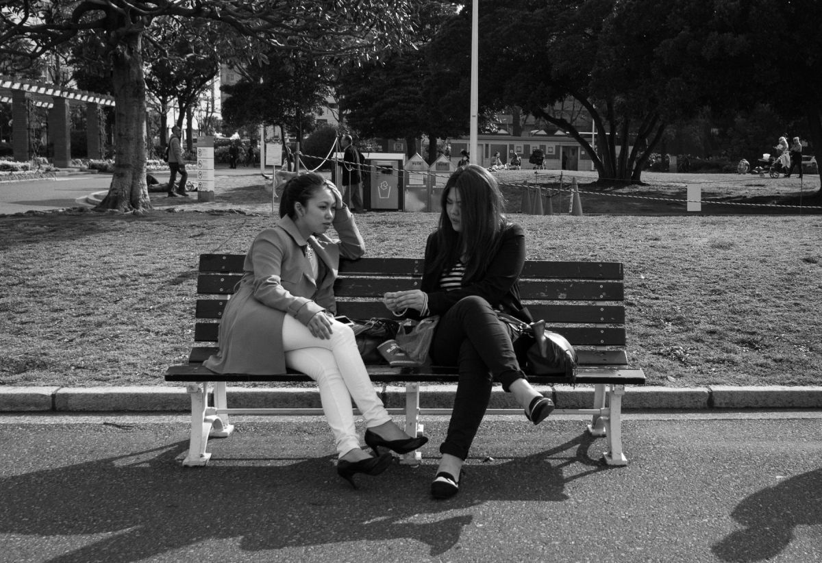 PARK BENCH#5 | GANREF