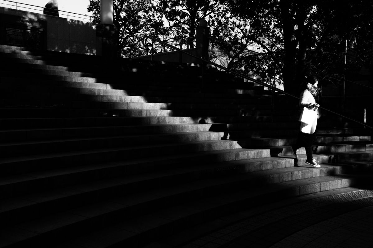 Light Lines | GANREF