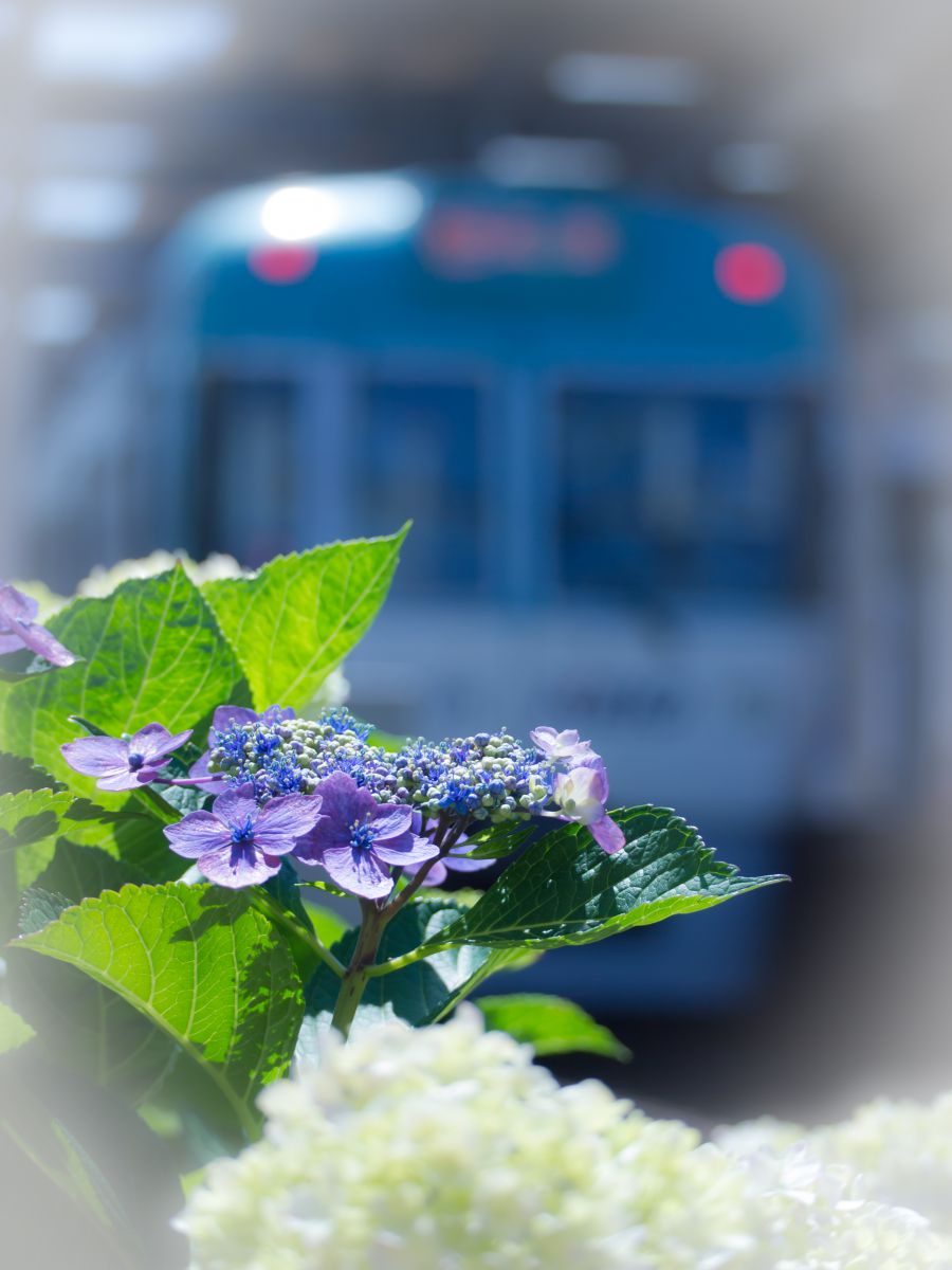 瑠璃色Train ♪ | GANREF