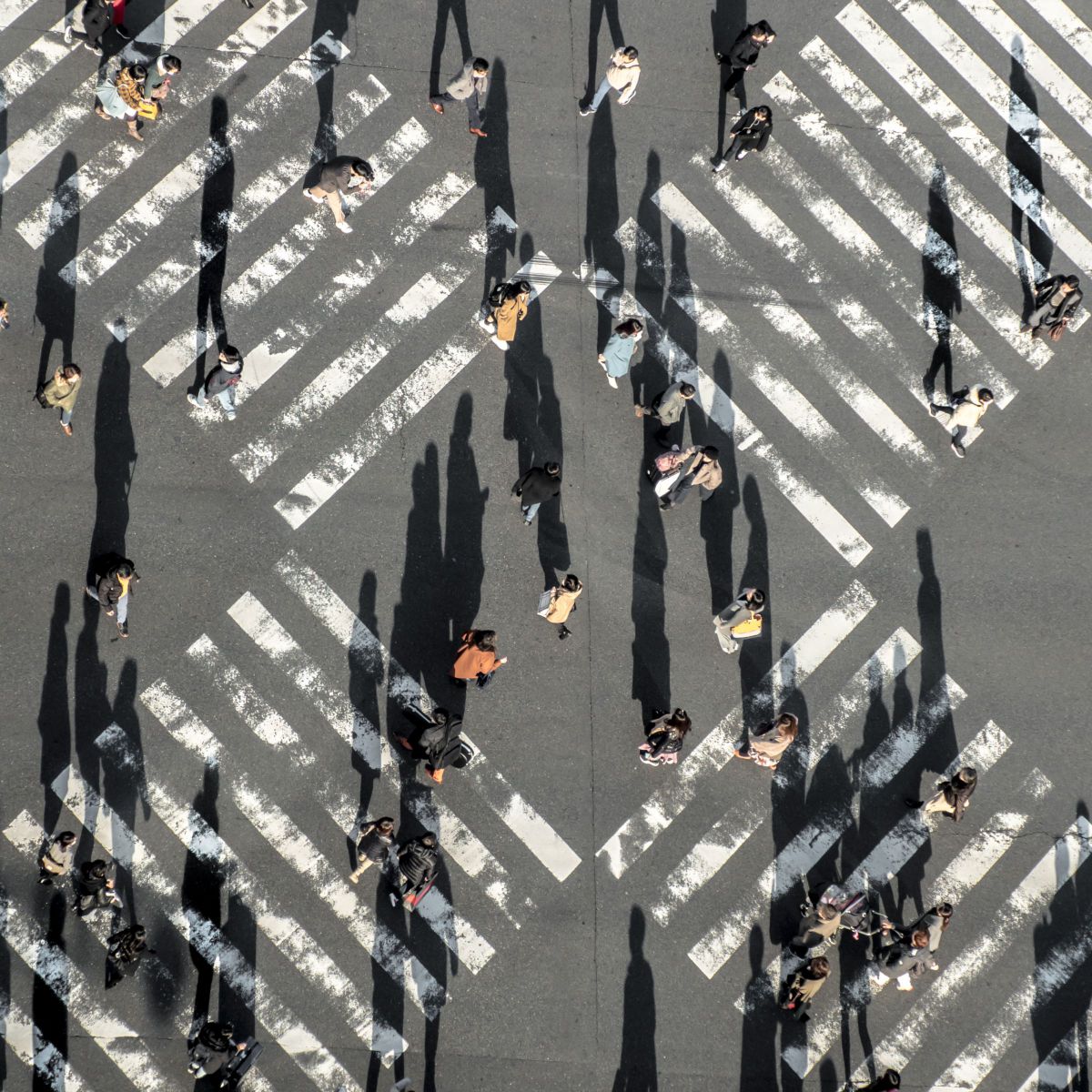 scramble shadow ~ shuffle | GANREF